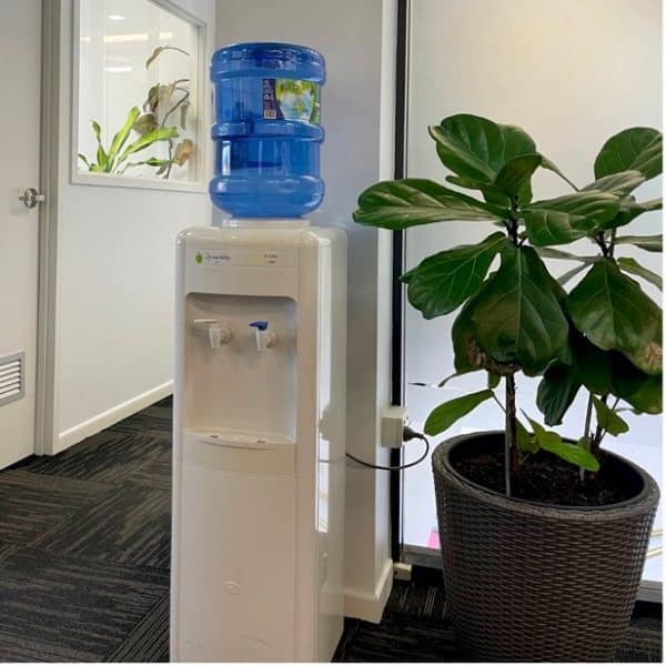 Cairns Natural Spring Water | 100% Locally Sourced
